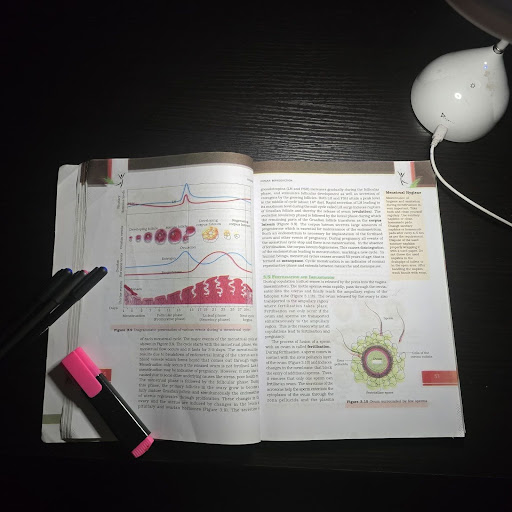 Period Education and Menstrual Awareness: Essential Insights