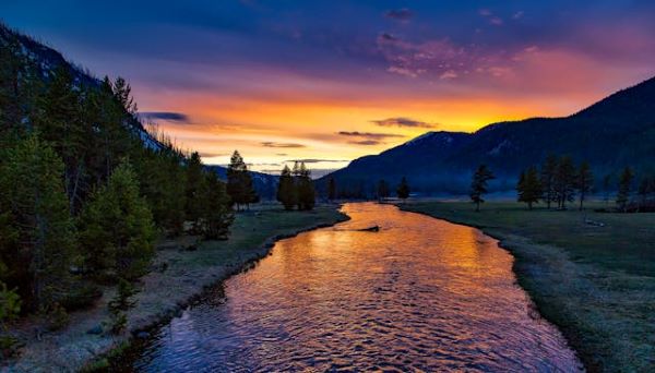 The River of Life: A Poetic Reflection on Our Journey